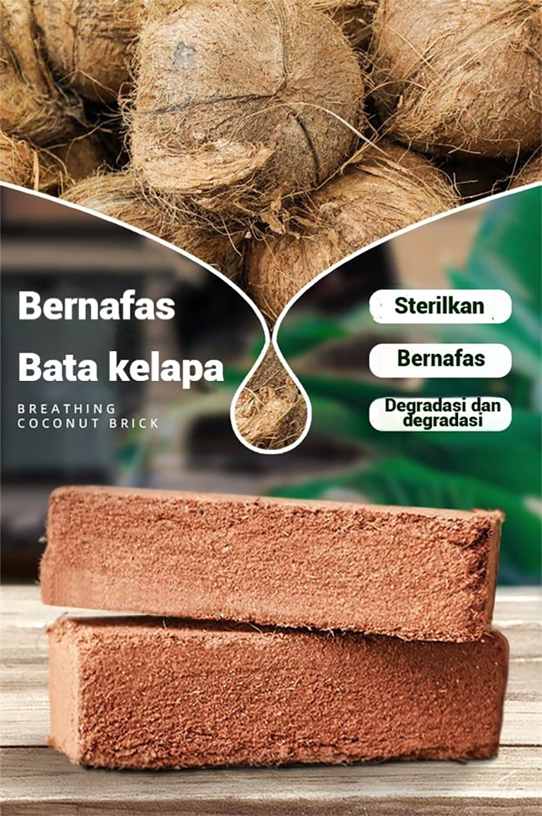 500g Bata Sabut Kelapa Tanah Nutrisi, Tanah Kelapa Bebas Kuman dan ...