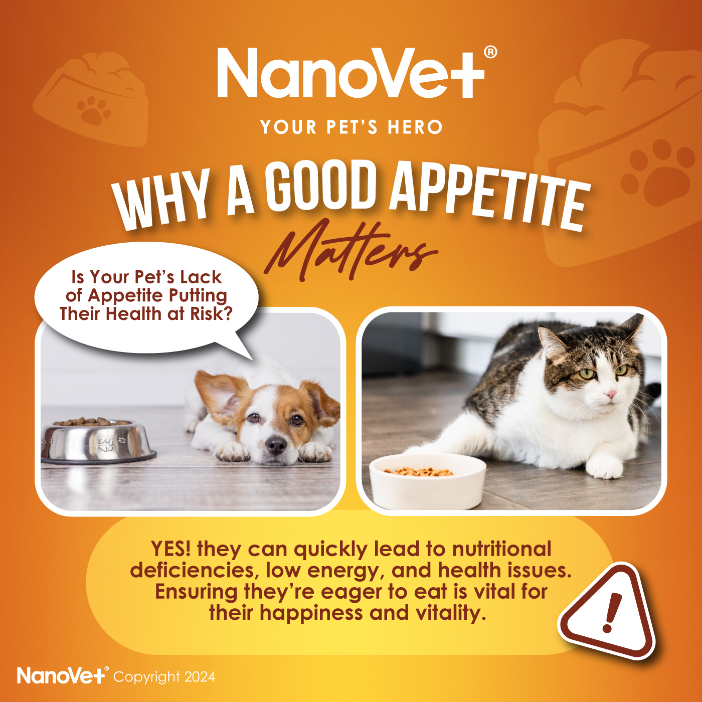 Nanovet® Kibble Topper Appetite Booster For Cat And Dog (70g) | Shopee ...