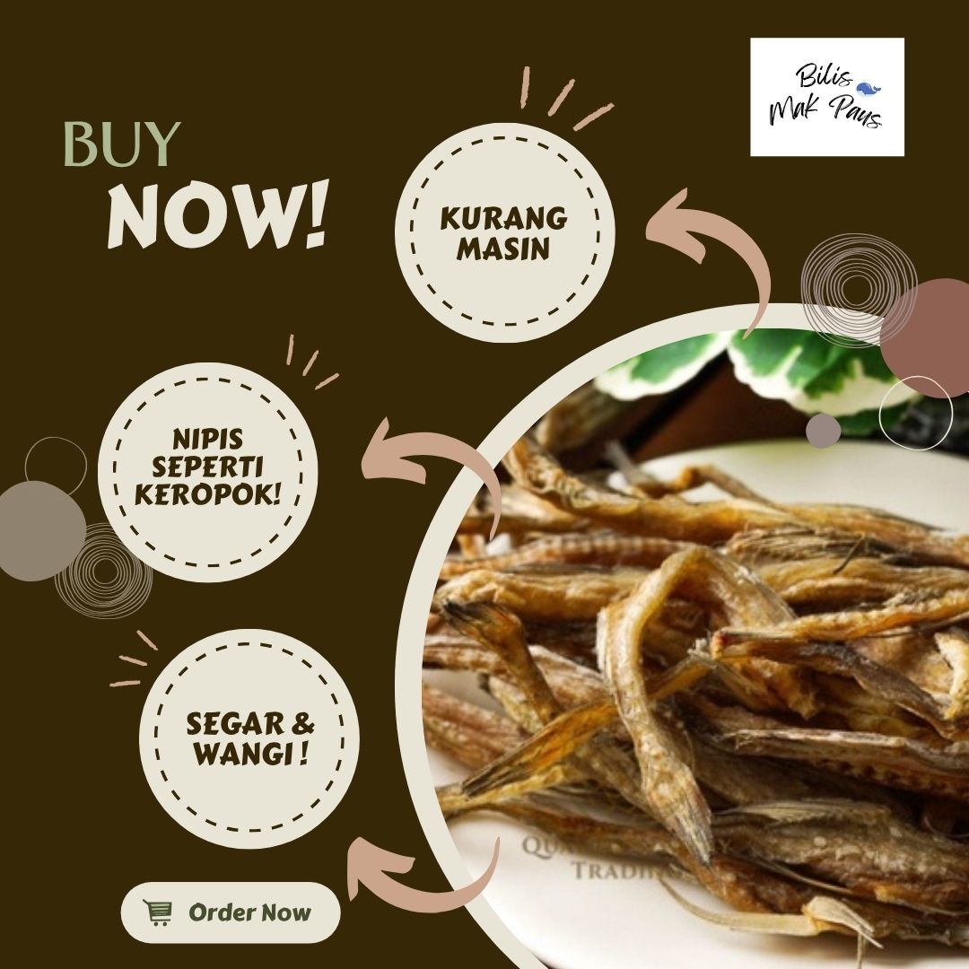 Ikan Lumi Ikan Masin Rumi Ikan Kering Nipis Sabah 100G 300G | Shopee ...