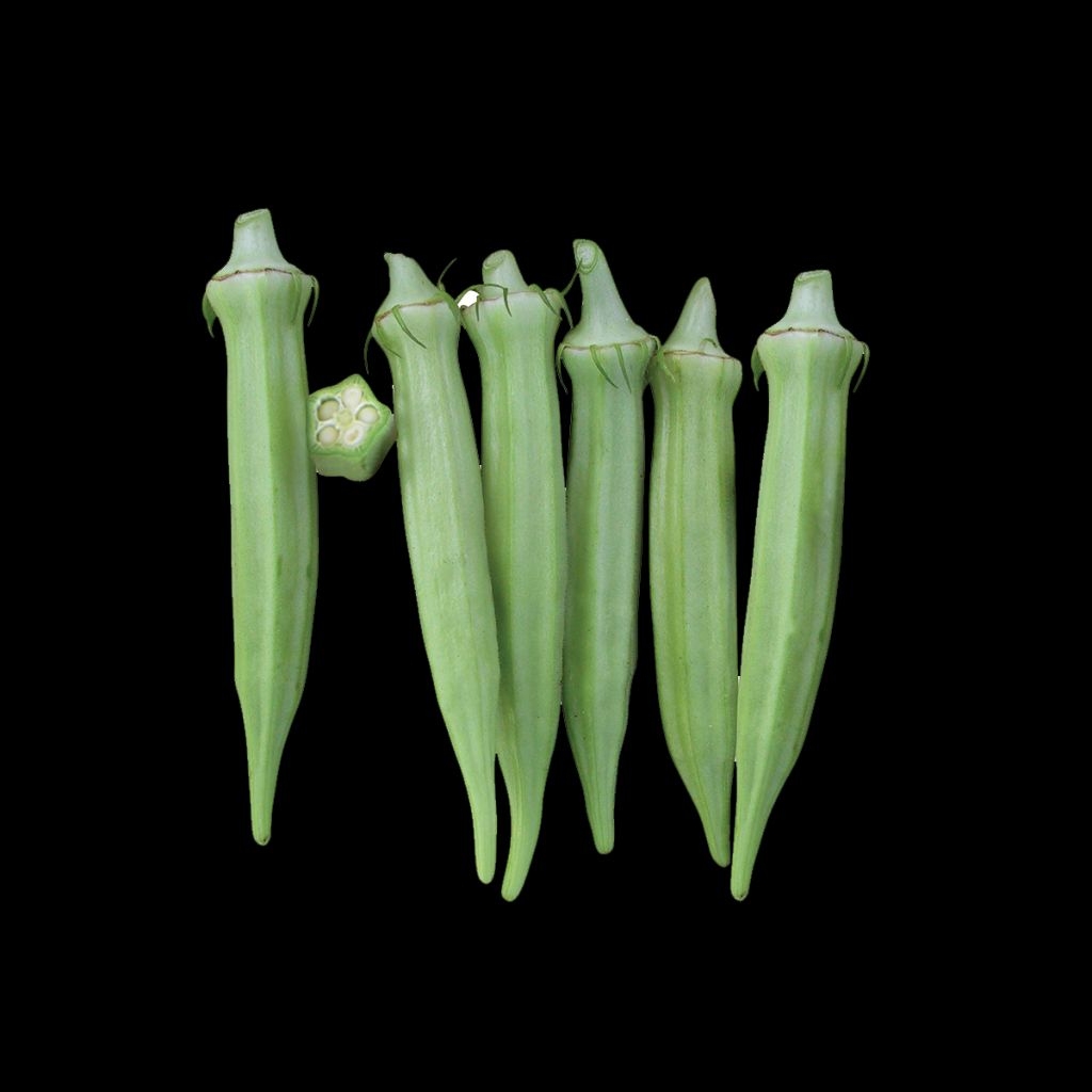 HSK [20pc] WHITE OKRA 0367 SEED BIJI BENIH BENDI PUTIH SUSU | Shopee ...