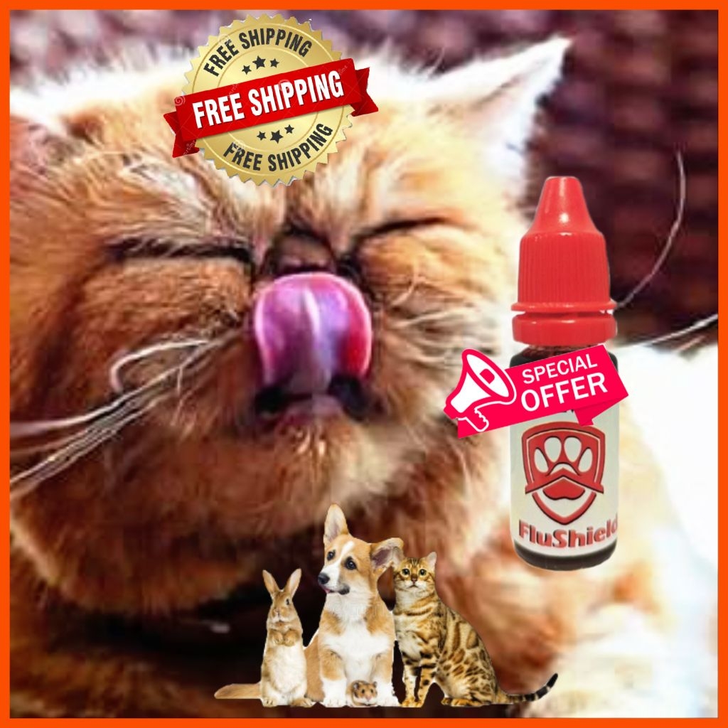 Free Pos Selsema Bersin Selesema Kucing Paling Berkesan Cat Treats ...