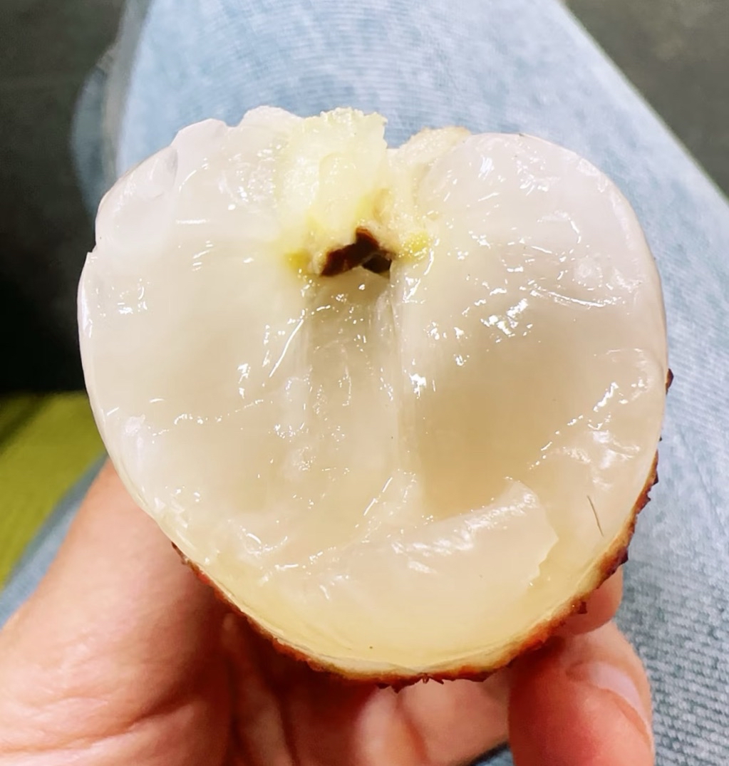 Seedless China Lychee Big Size Super Sweet & Juicy 超大超甜多汁无籽荔枝冰甜追剧水果 ...