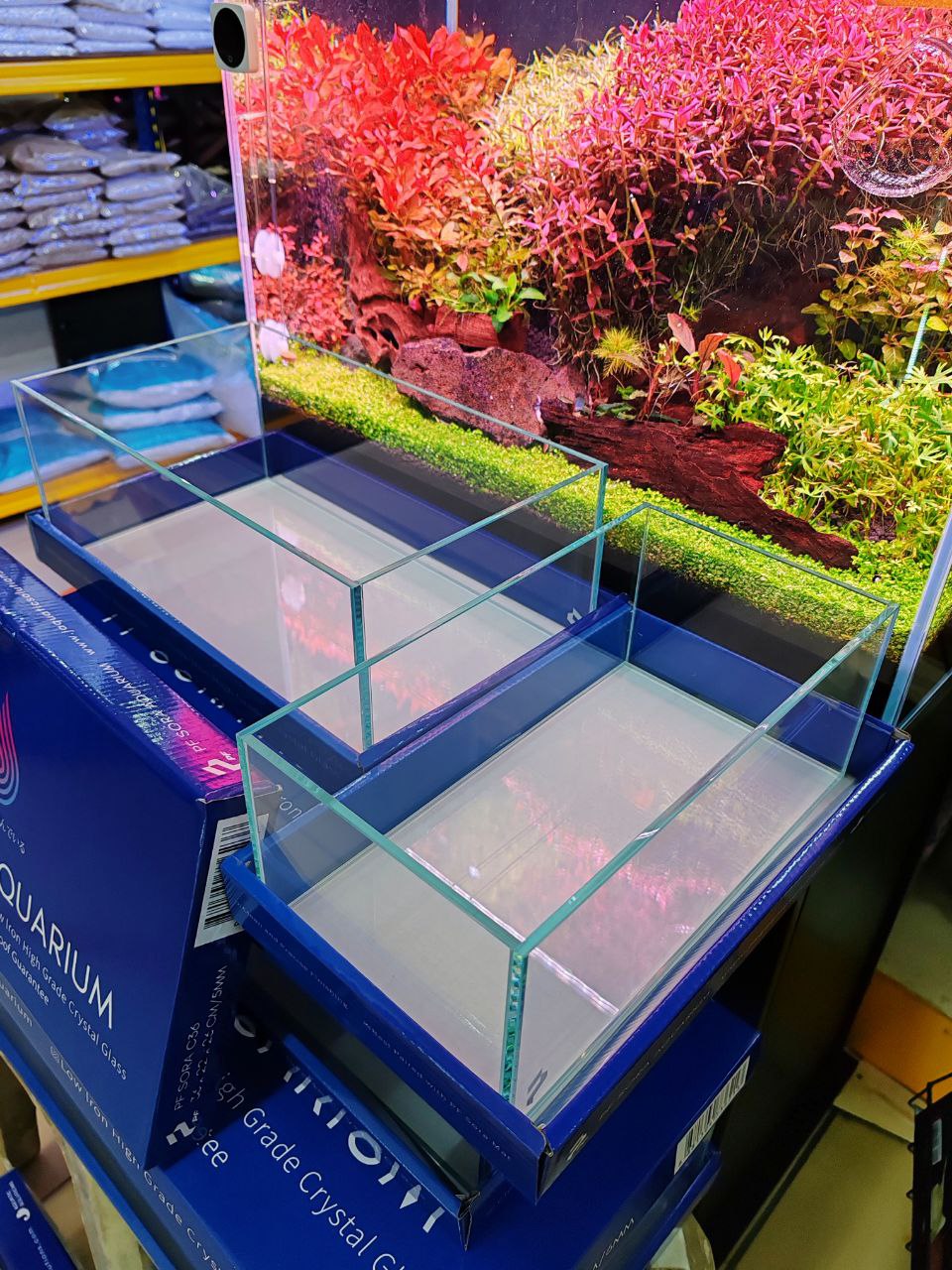 Crystal Clear Tank 超白玻璃 Aquarium – 30cm / 35cm / 40cm / 60cm | CC Tank ...