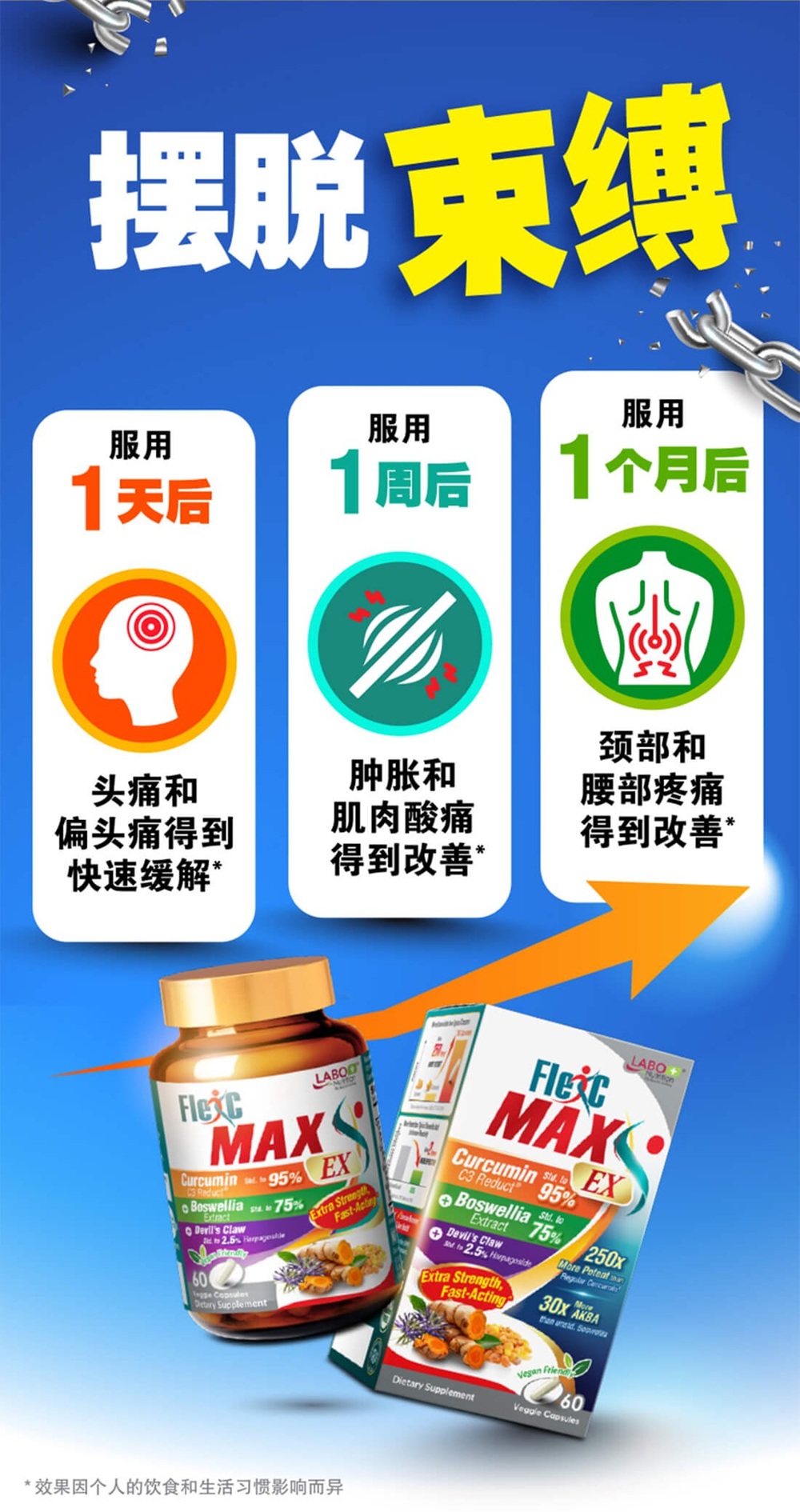 Labo Nutrition FlexC Max EX 舒缓关节疼痛肌肉酸痛 姜黄素 素食配方 | Shopee Malaysia
