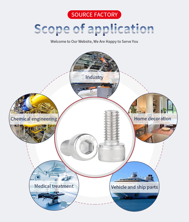 M5 M6 Hex Socket Cap Head Screws 304 Stainless Steel SHINY SURFACE ...