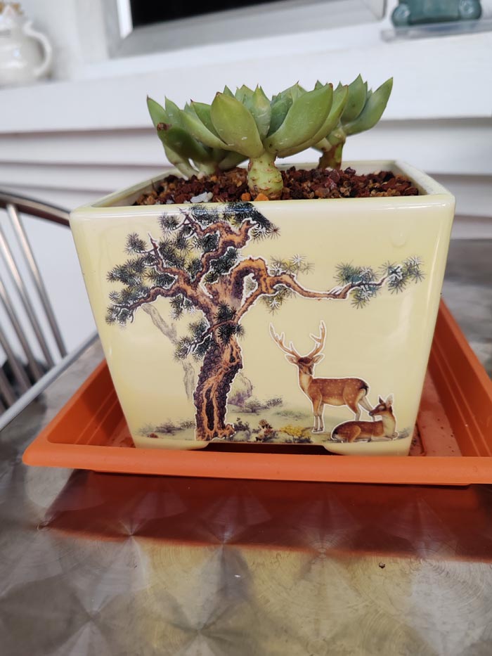 Pasu Bunga Seramik Segi Empat, Square Ceramic Pot, 四方大口径花盆 - 陶瓷多肉绿植盆栽 ...