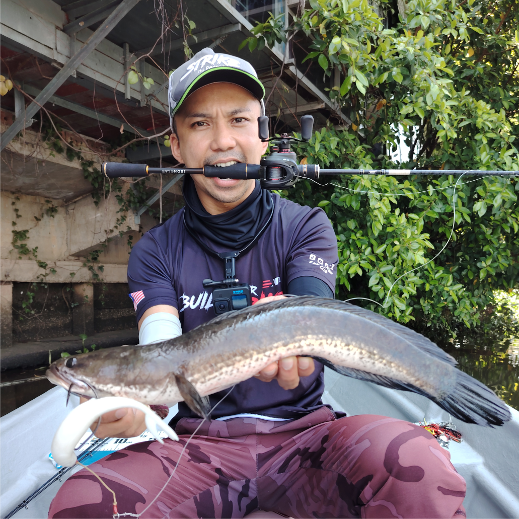 EXP LEGGERA REEL LG81/80LS baitcasting SW NMB Bearing Casting Left ...