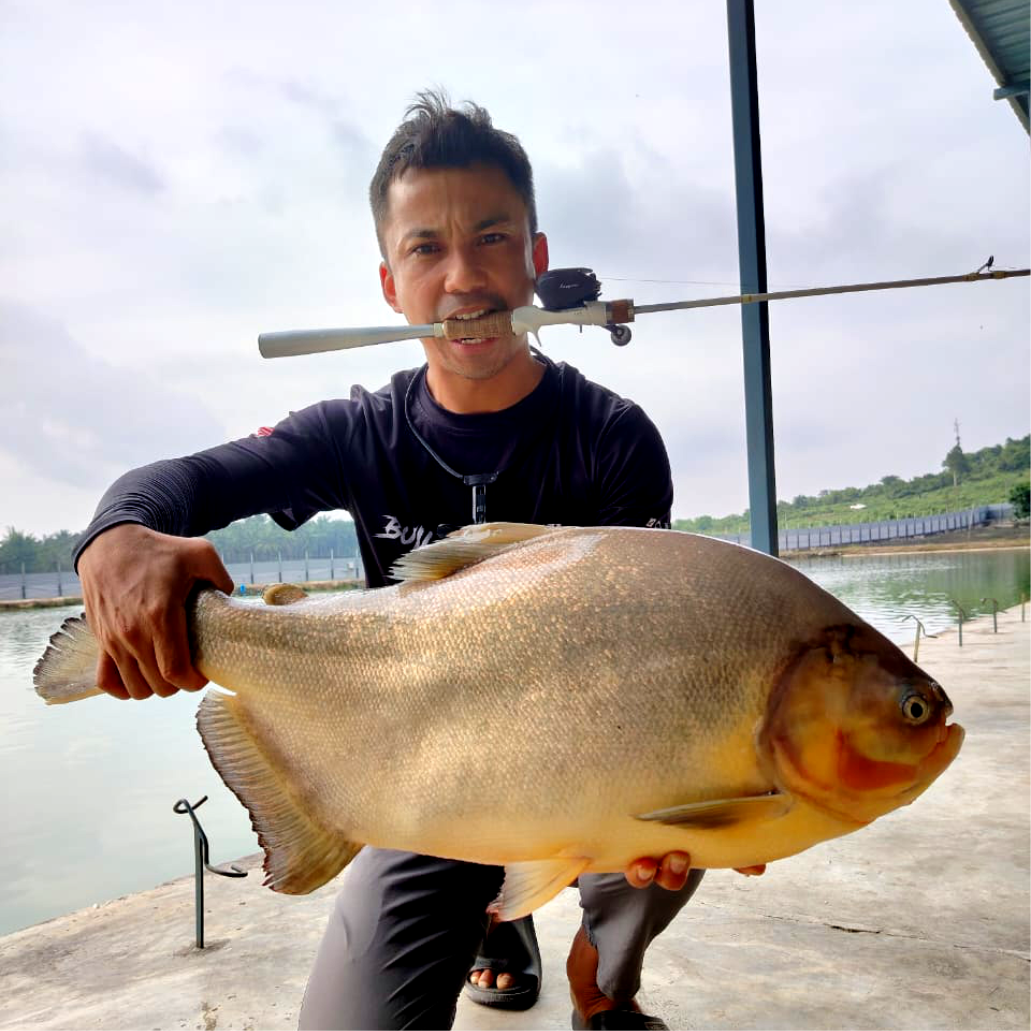 EXP LEGGERA REEL LG81/80LS baitcasting SW NMB Bearing Casting Left ...