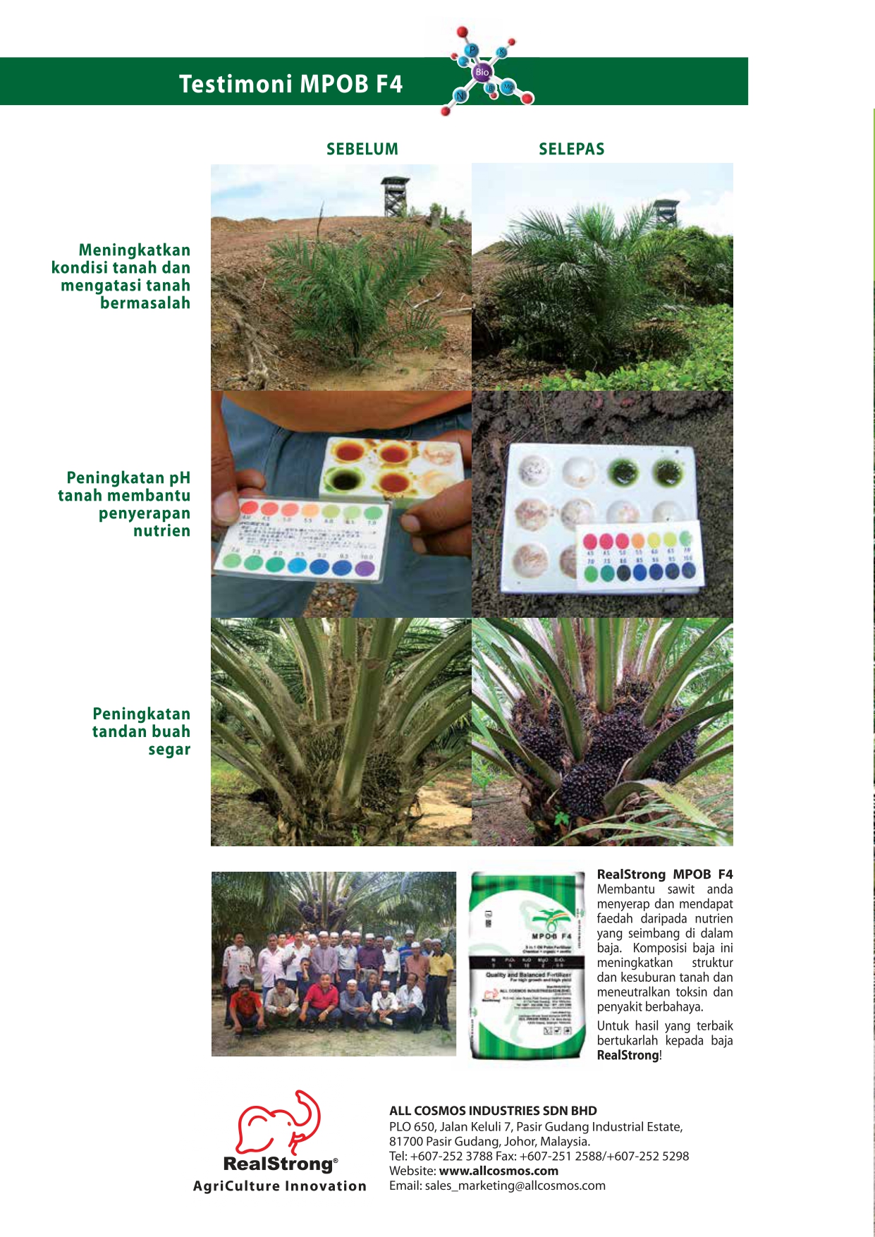 Real Strong Baja Bio-Kimia MPOB F4 Sebenar Baja Kelapa Sawit (NPKMB 9:6 ...
