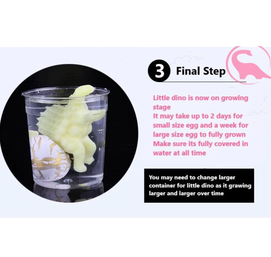 Growing Colorful Dinosaur Egg Soaking Dino Egg Telur Dinosaur ...