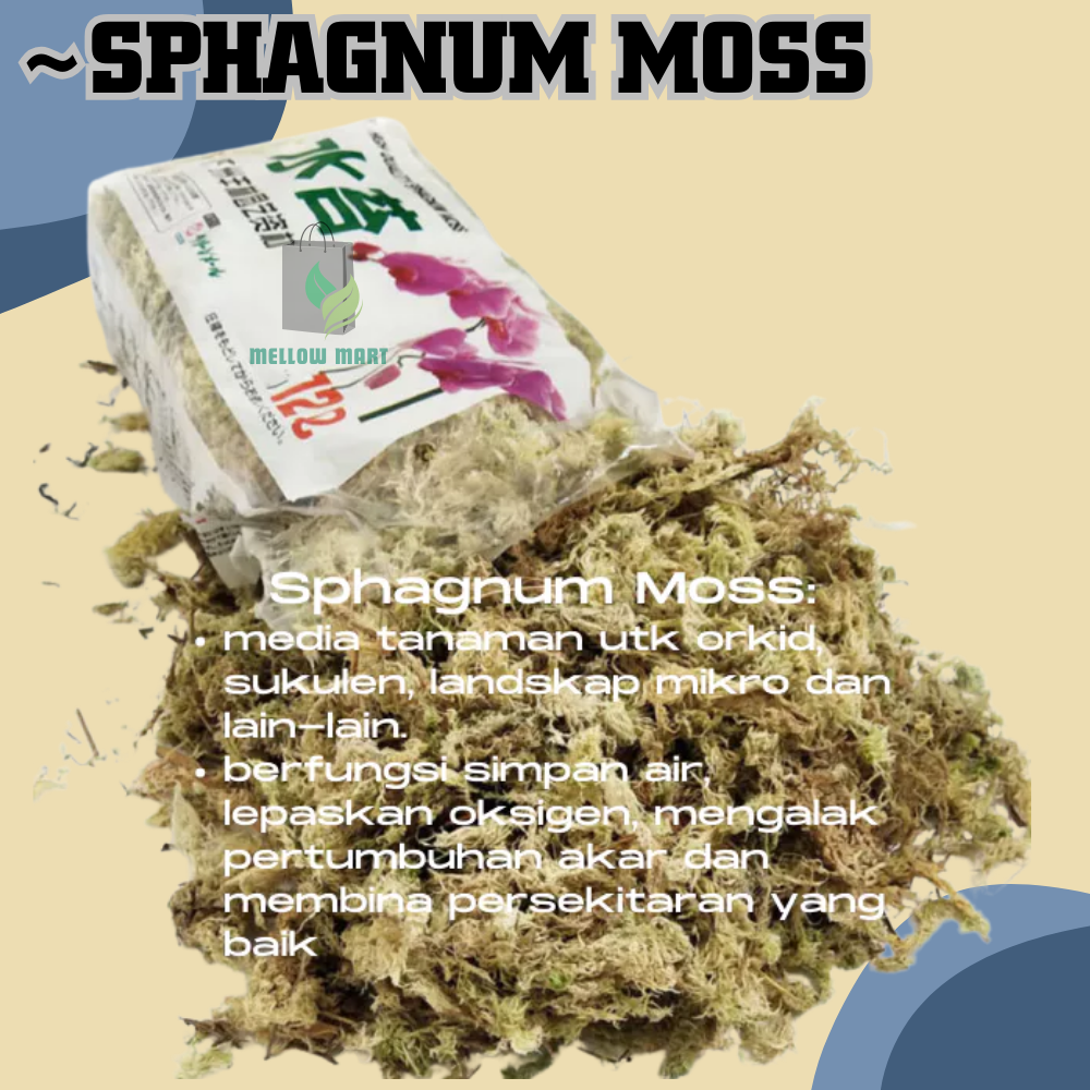 MELLOWMART [12L] High Quality Sphagnum Moss Orchid Bonsai Terrariums ...