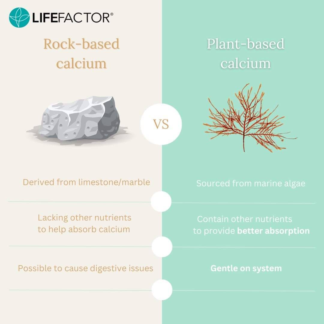 LIFE FACTOR Osteoliv Bone Joint Protection Pain with Aquamin Collagen ...