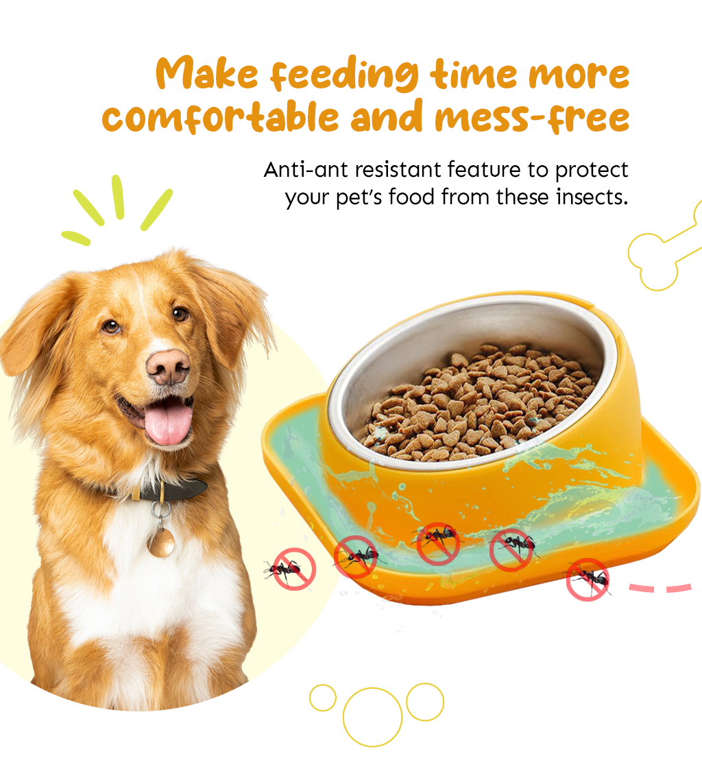 [No More Ants!] Anti-ant Pet Bowl Stainless Steel Cat Bowl Durable Pet ...