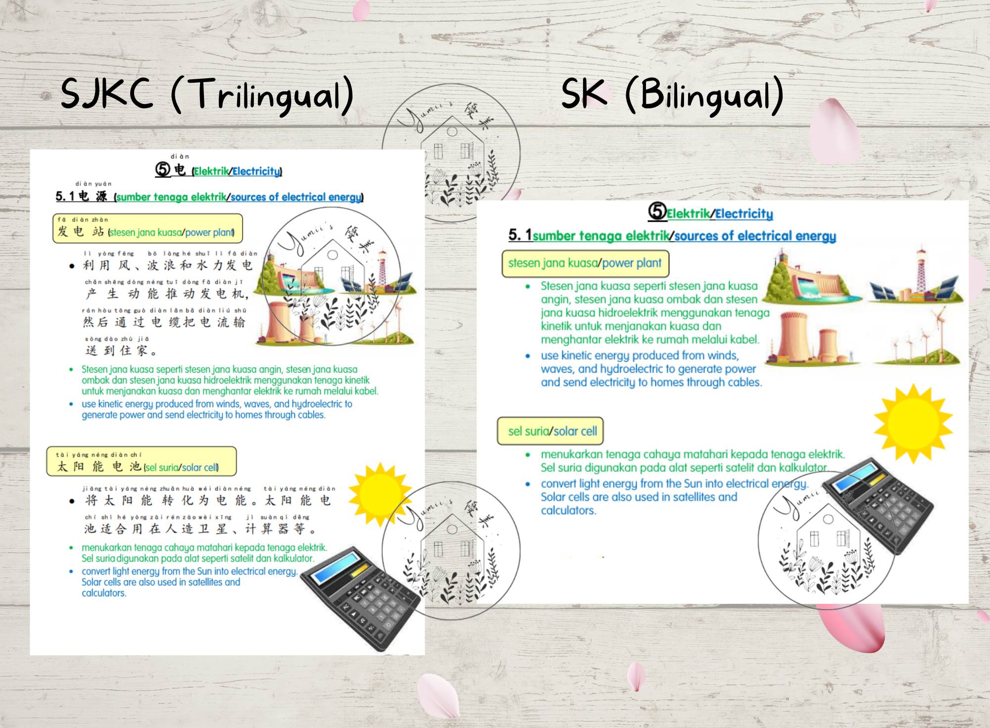 KSSR SJKC/SK Nota Sains Tahun 5 | Year 5 Science Notes (Colour version ...