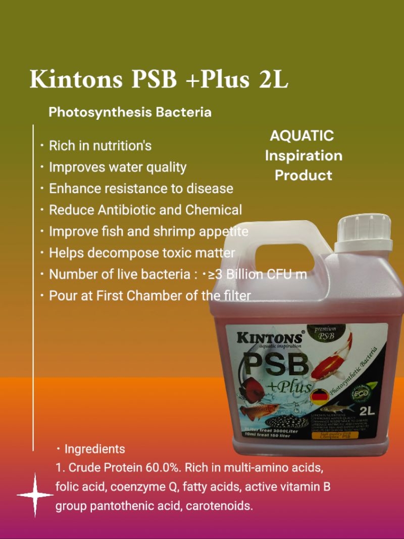 Kintons PSB +Plus 2L (Photosynthesis Bacteria) | Shopee Malaysia