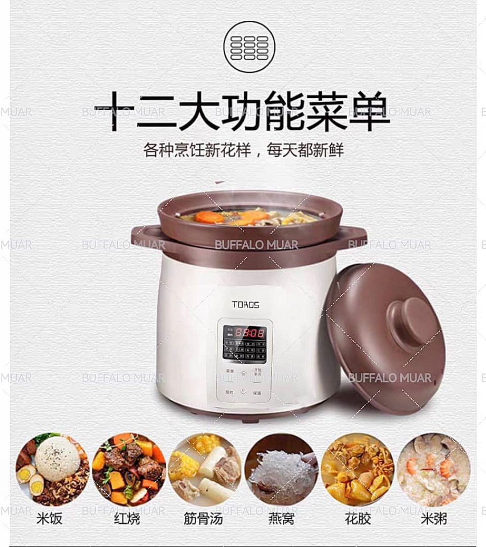 Tiantian BUFFALO TOROS MULTIFUNCTION ZISHA POT STEW COOKER 5L | PRE-SET ...