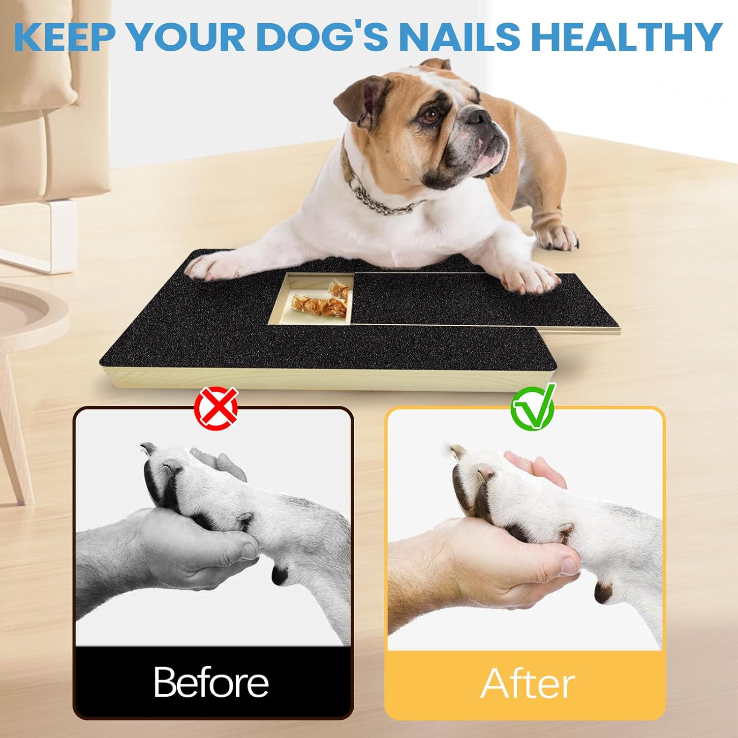 Dog Nail Self-Scratching Board with Treat Safe Scraper Trim Nail ...