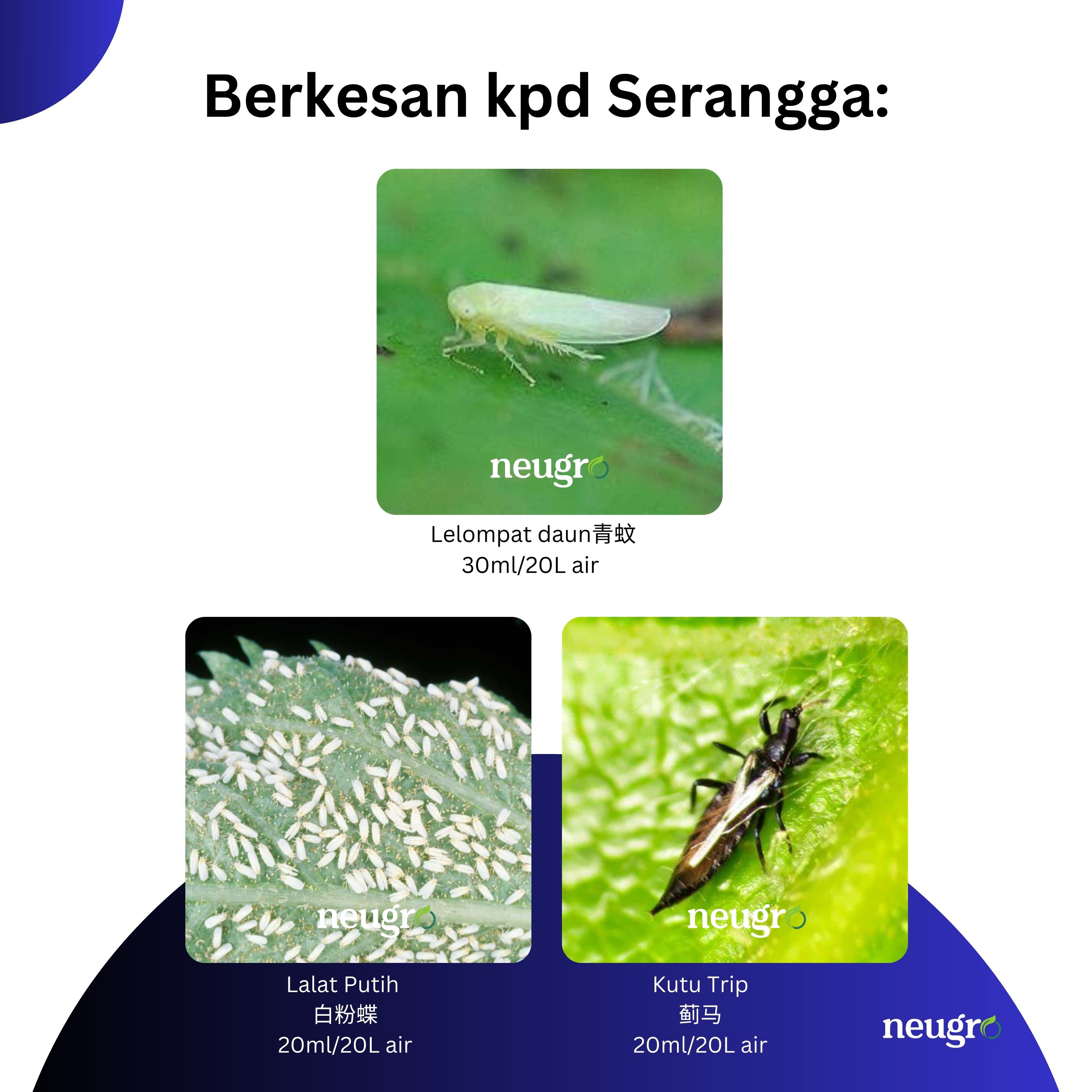 ACM Mospilan 3% EC (500ml) Acetamiprid 3% Racun Serangga Kutu Trip / Bena Perang / Lalat Putih ...