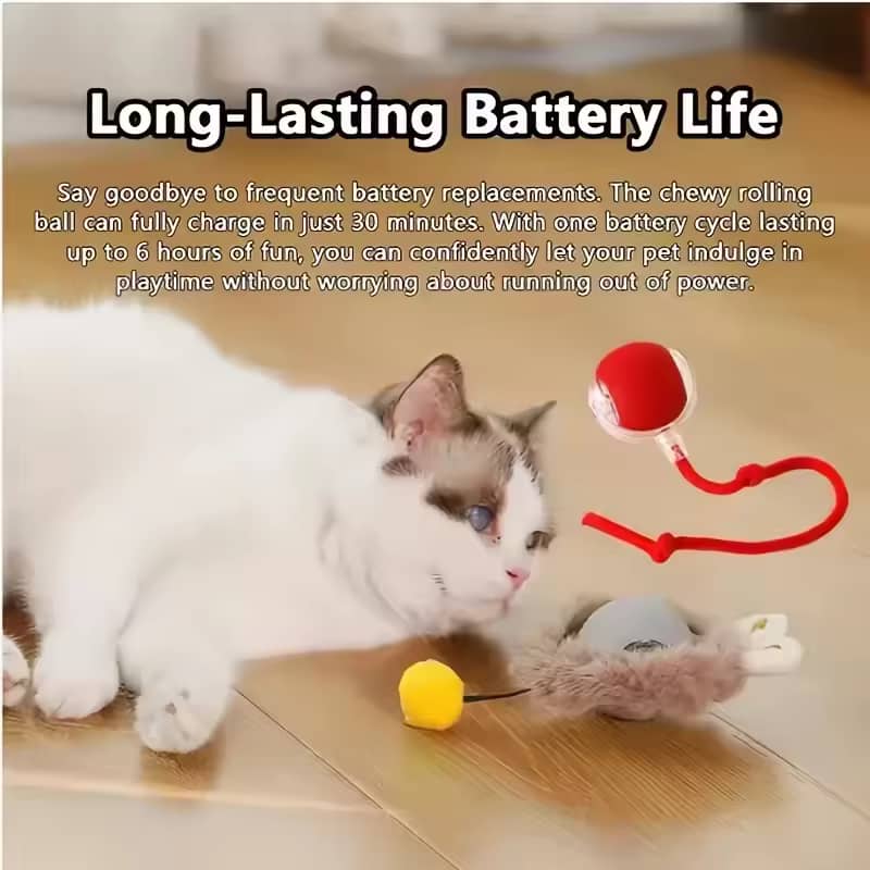 Cat Toy Interactive Ball Auto Electric Rolling Ball For Cats/Dog Pets ...