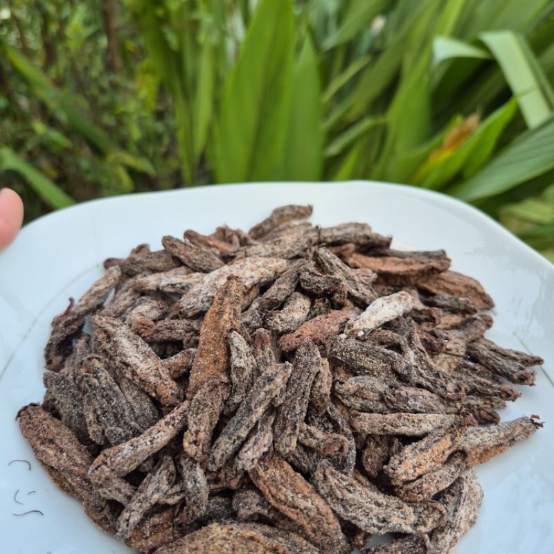 Asam Belimbing Buluh / Asam Sunti (100 g) | Shopee Malaysia