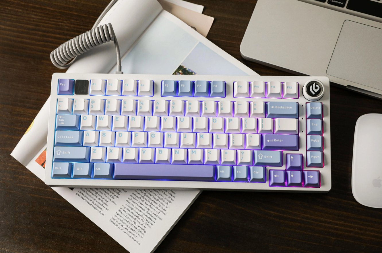 LEOBOG Hi75 Sleek 75% Wired Mechanical Keyboard White Purple | Shopee ...