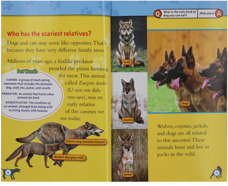 38 Books Level 3 Geographic Kids be a NAT GEO Super Reader English ...