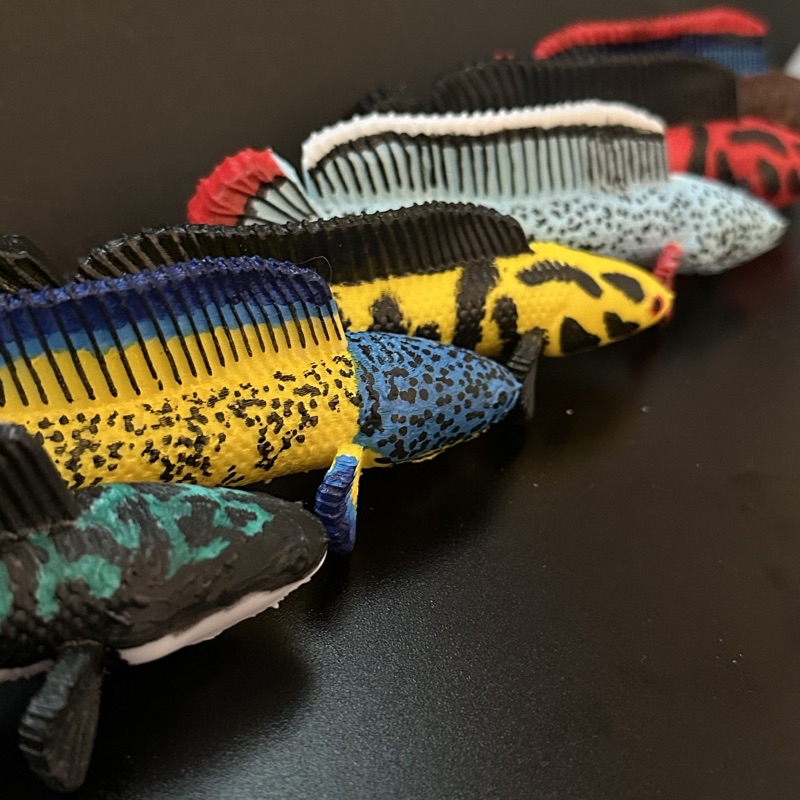 Channa Flare Stick (with stick and flaring design)– High-Fin Flare | 6 ...