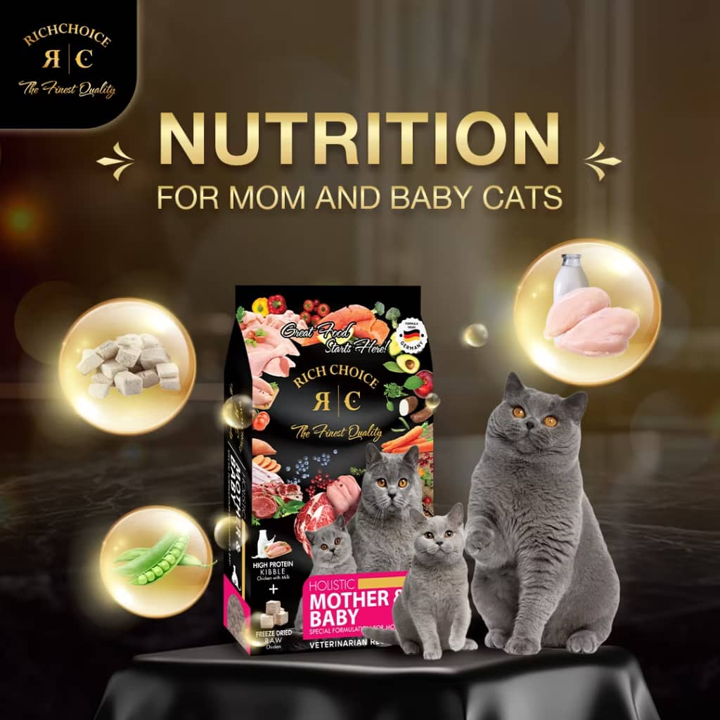 Rich Choice 10KG Original Pack Holistic(Uretic Health Indoor/ Sensitive ...