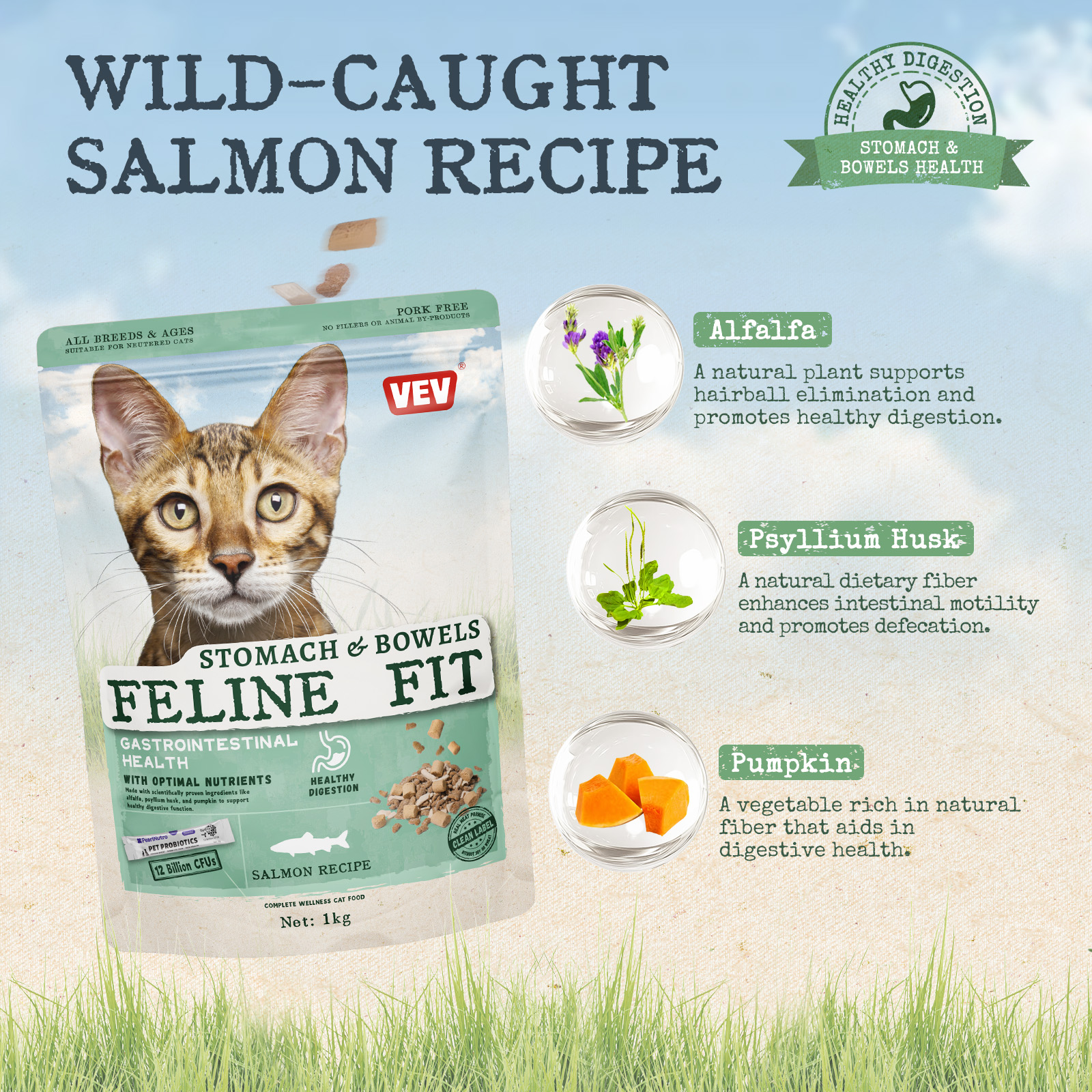 VEV Pet Freeze-Dried Treats Dry Cat Food 猫冻干鸡胸粒 猫粮 (1kg) | Shopee Malaysia