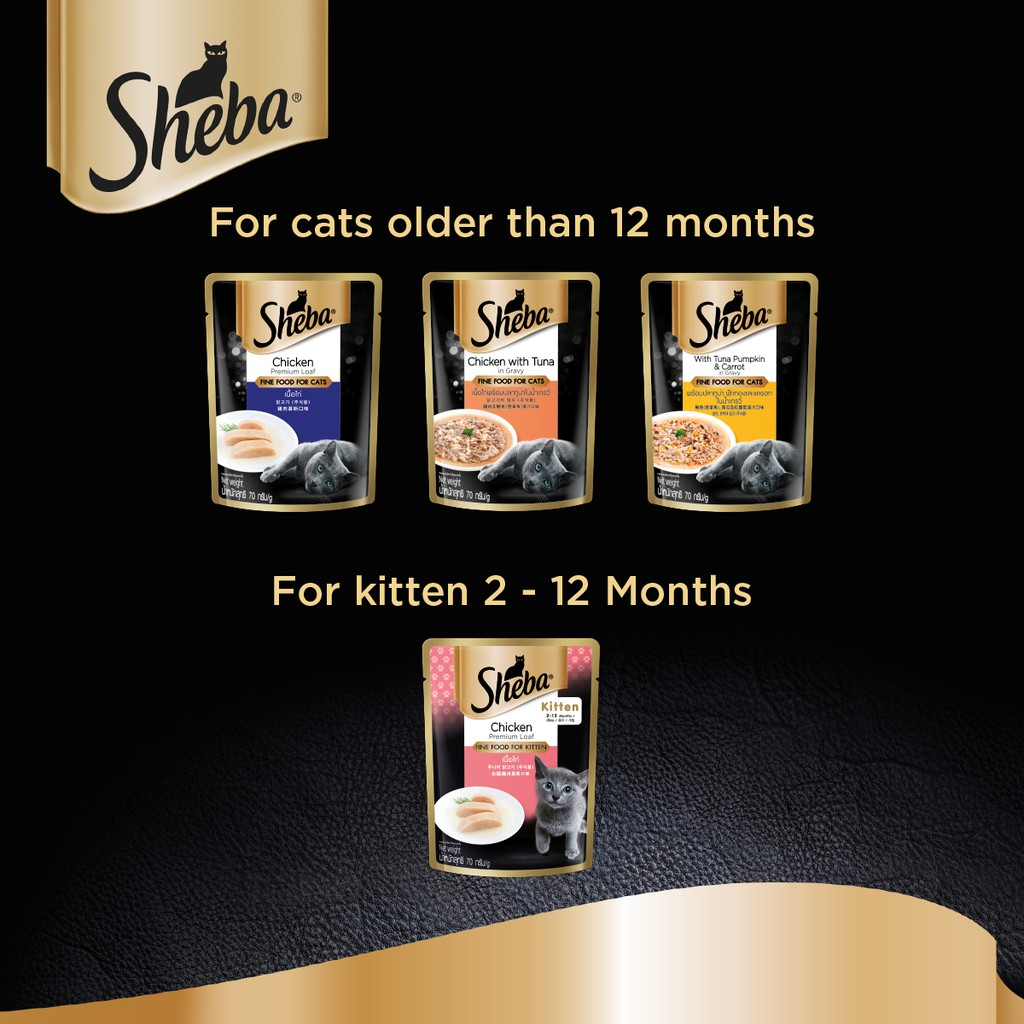 SHEBA /Sheba(1Box 12 Pack )Cat Wet Food Pouch Premium ( Kitten / Adult ...