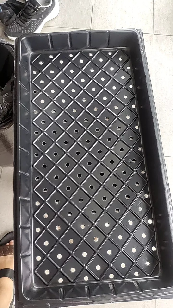 Tray Semaian 50 128 Holes Tray Plastic Nursery Tray Seedling Tray Bekas ...