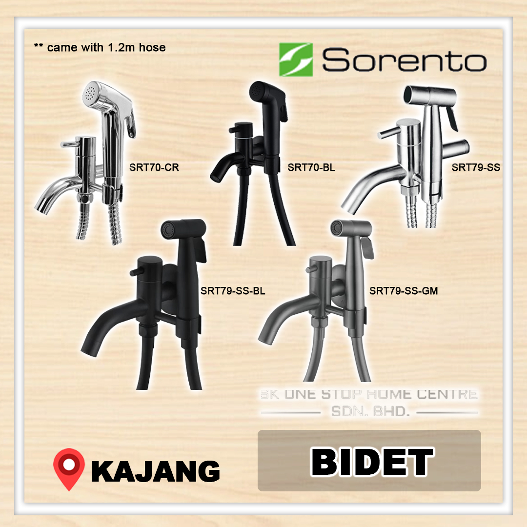 SORENTO Bathroom Brass Two Way Tap C/W Hand Bidet & 1.2M Flexible Hose ...