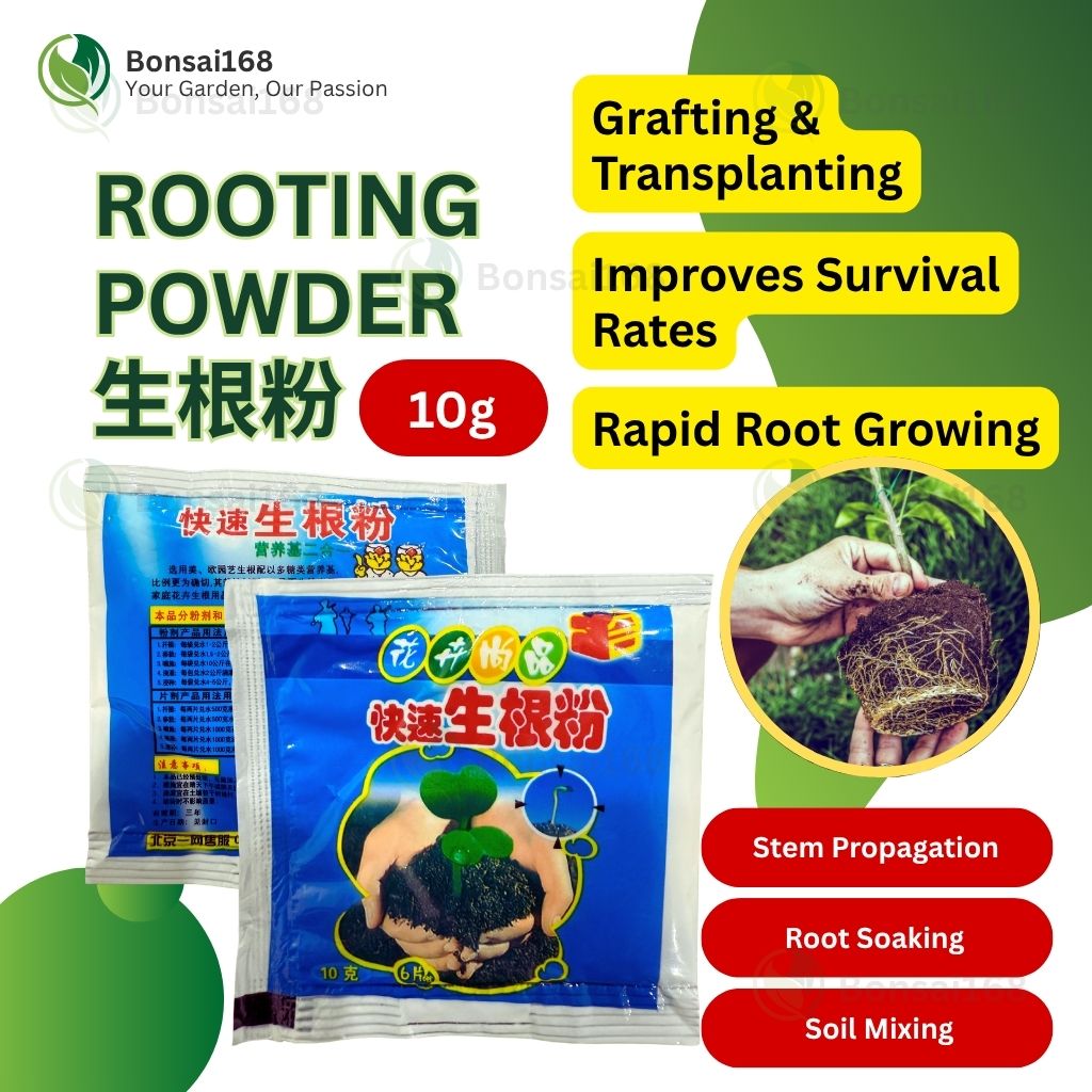 🔥Bonsai 168🔥10g Carbendazim 多菌灵 Fungicide | Root Rot, Leaf Spot, Mildew ...
