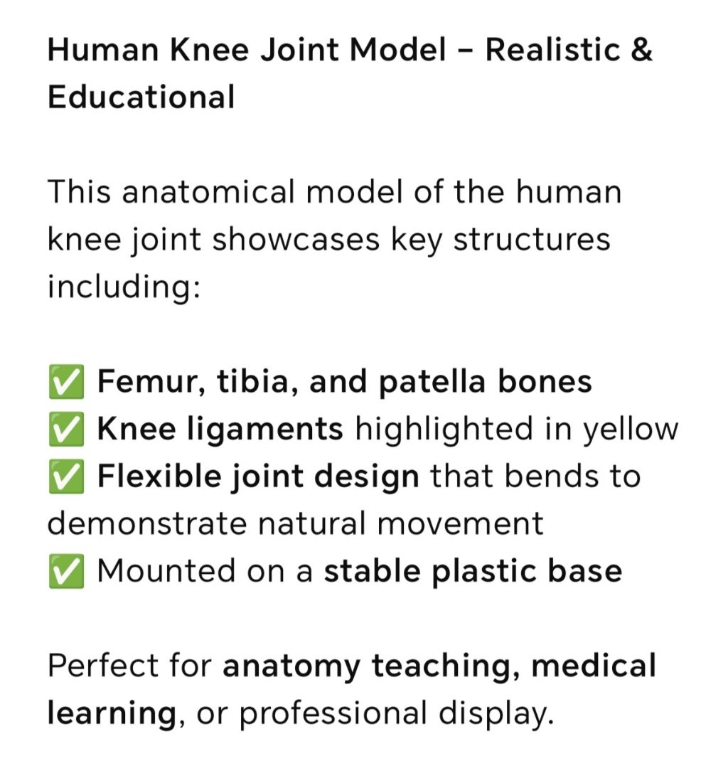 Human Knee Joint Model/Model Sendi Lutut Manusia | Shopee Malaysia