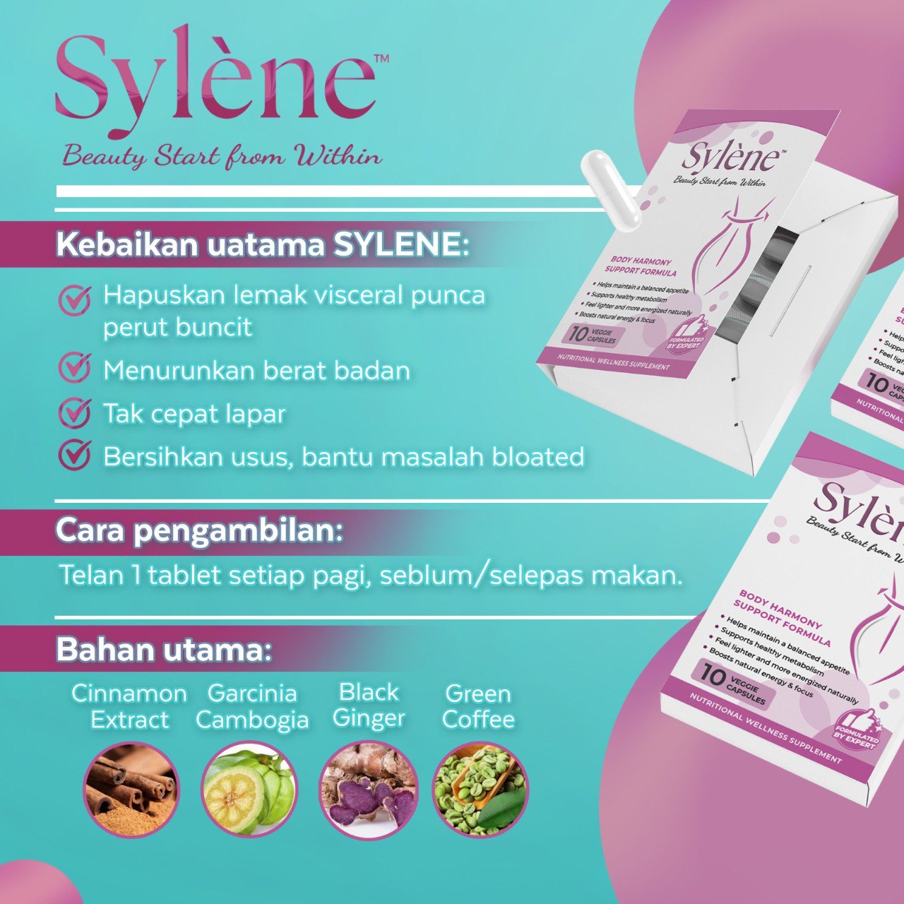 [FAST SHIPMENT] SYLENE SISLINE WELNESS SUPPLEMENT SISLIN KRASNE FAT ...