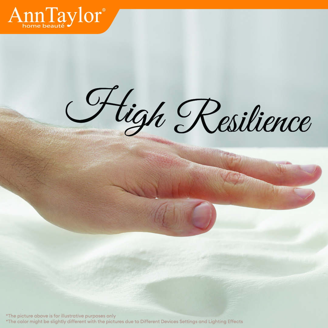 Ann Taylor Anti Snore Memory Pillow | Shopee Malaysia