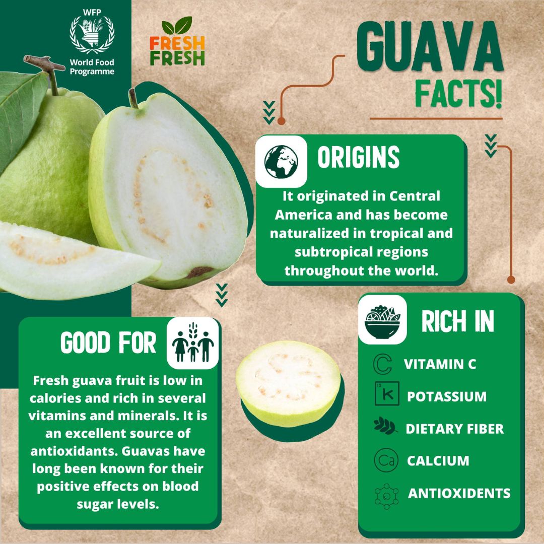 【Organic】Seedless Crystal Guava Fresh Fruit Buah organik Jambu Batu ...