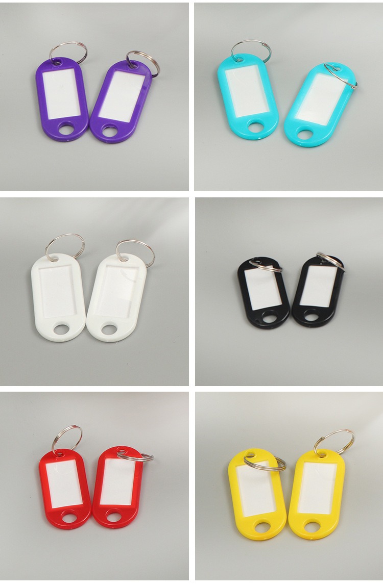 MILLIE Multiuse Colourful Plastic Keychain Label Name Tag Key Tag With ...