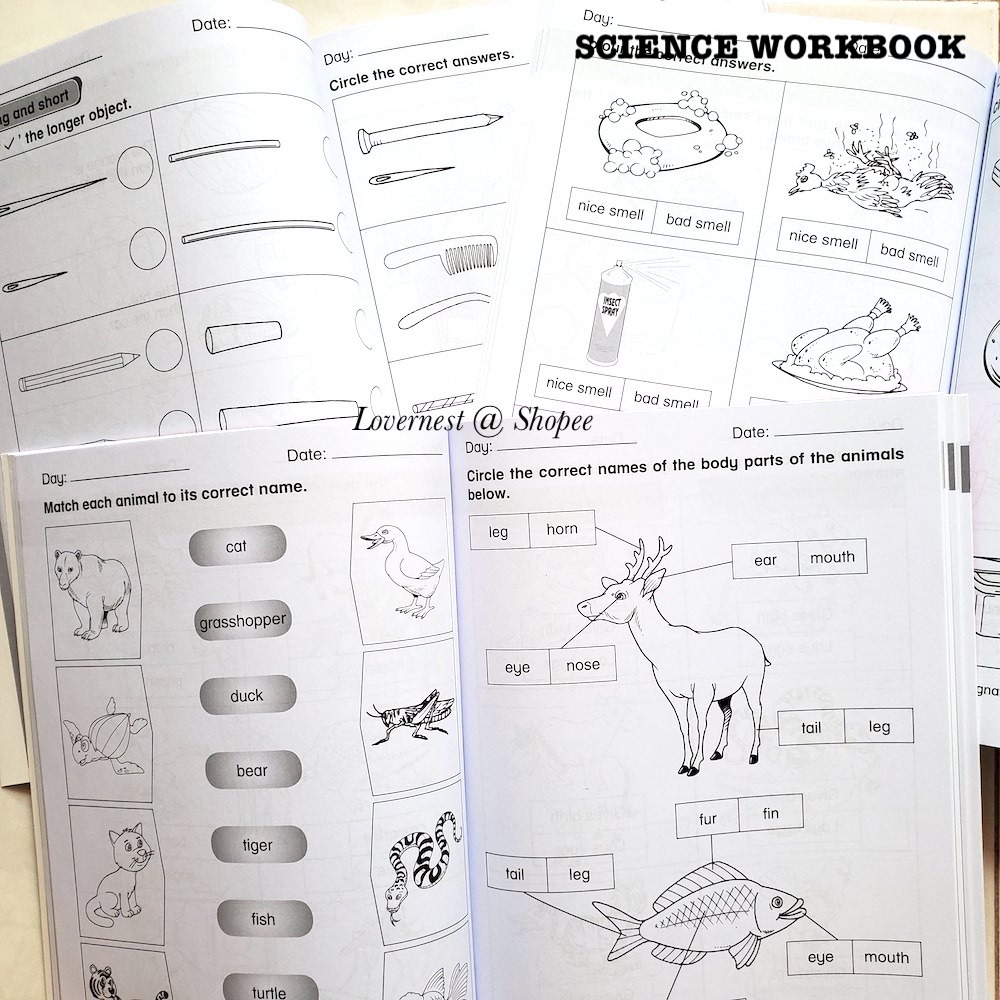 LOVERNEST Fun With Science Math Activity Book for Preschool ...