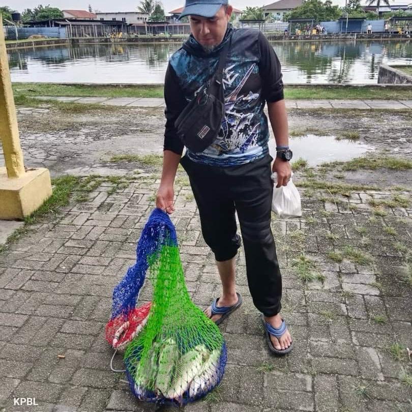 PERAMBUT RAMBAI ROHU / LAMPAM / TALAPIA BOOM SPRING CUSTOM LIMA (5 ...