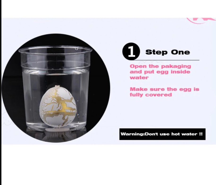 Growing Colorful Dinosaur Egg Soaking Dino Egg Telur Dinosaur ...