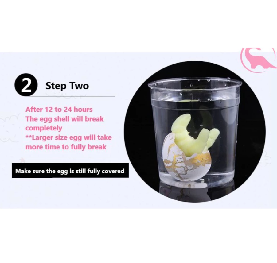 Growing Colorful Dinosaur Egg Soaking Dino Egg Telur Dinosaur ...