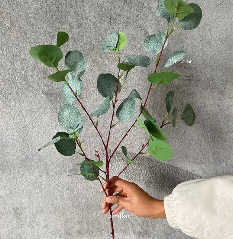 (30FLOWERS) SILVER DOLLAR ARTIFICIAL Buah Daun Hiasan Eucalyptus Leaf ...