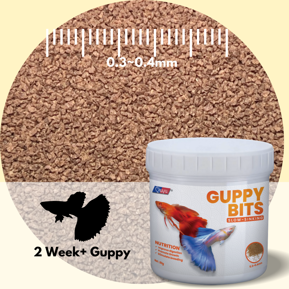 Qiuyu's Guppy Bits –Nutrient-Rich Guppy Feed for Stronger Growth & Better Breeding | Shopee Malaysia