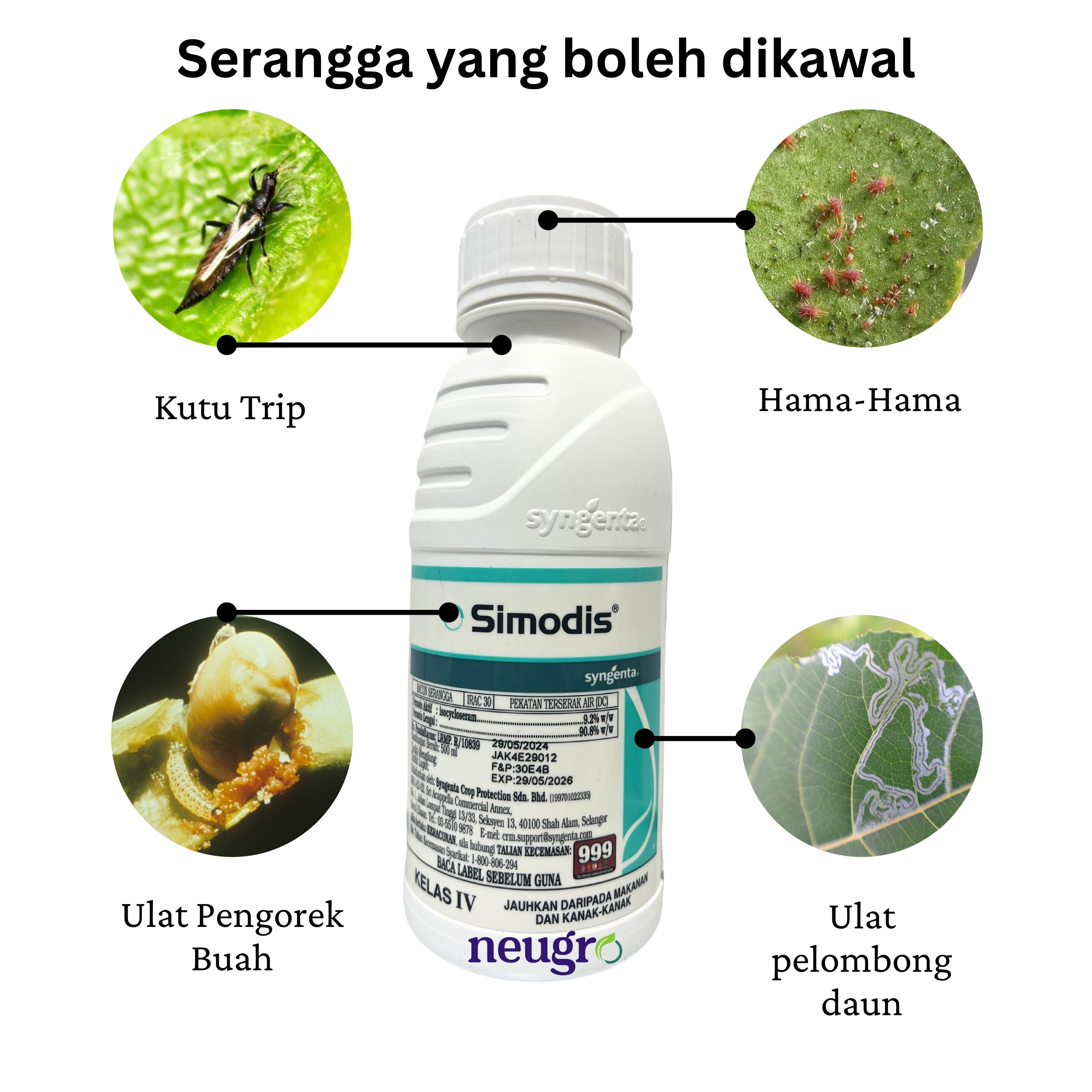 Syngenta SIMODIS Ori 500ml Isocycloseram 9.2% Racun Serangga Kutu Trip ...