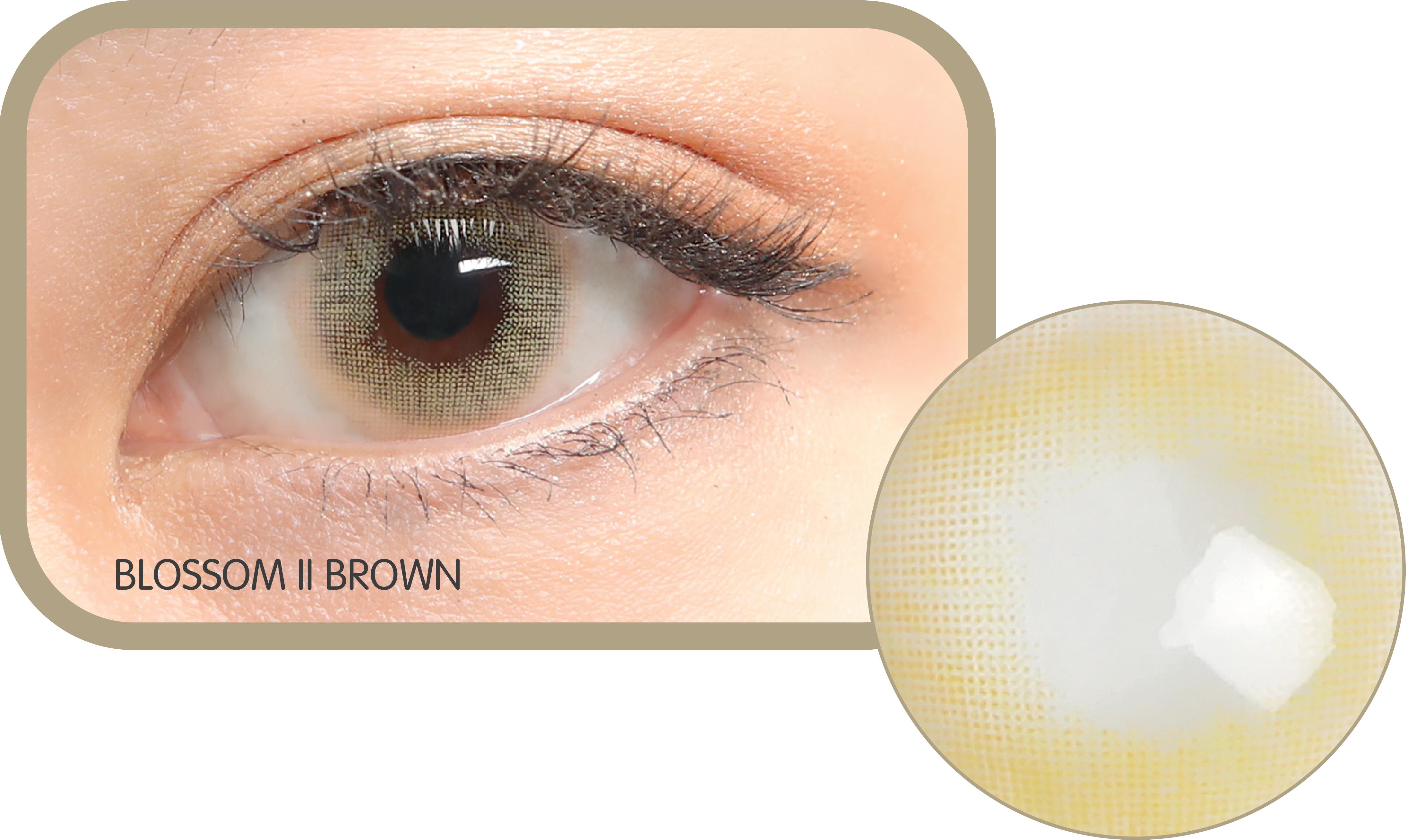 evo BLINCON Blossom I II 3 Months Cosmetic Contact Lenses (2 pcs ...