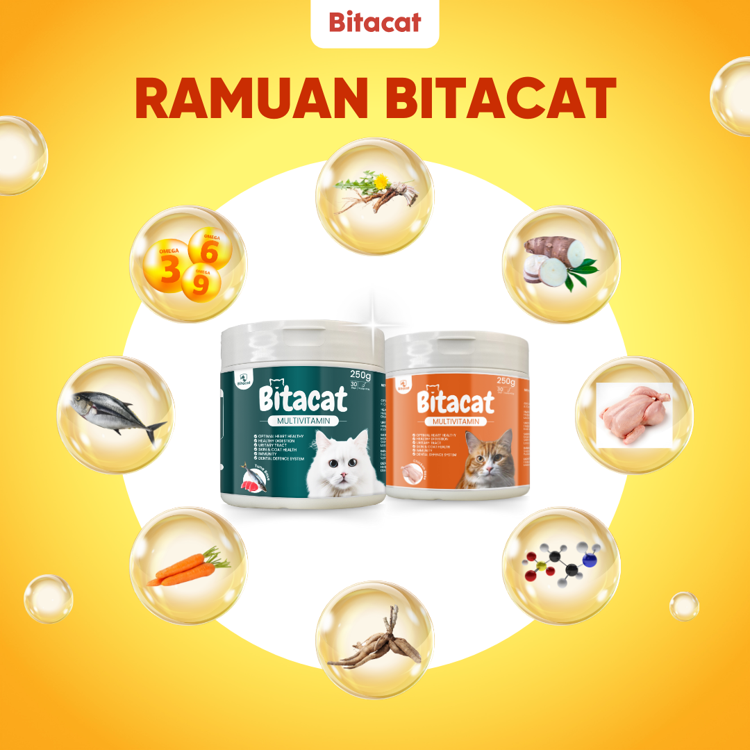 [BITACAT OFFICIAL STORE] BITACAT SUPPLEMENT LENGKAP KUCING READY STOCK ...