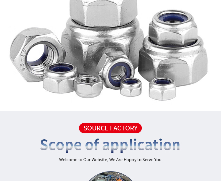 Nylon Lock Nut 304 Stainless Steel Hexagon M2 M2.5 M3 M4 M5 M6 M8 M10 M12 Hex Lock Nut DIN985 ...