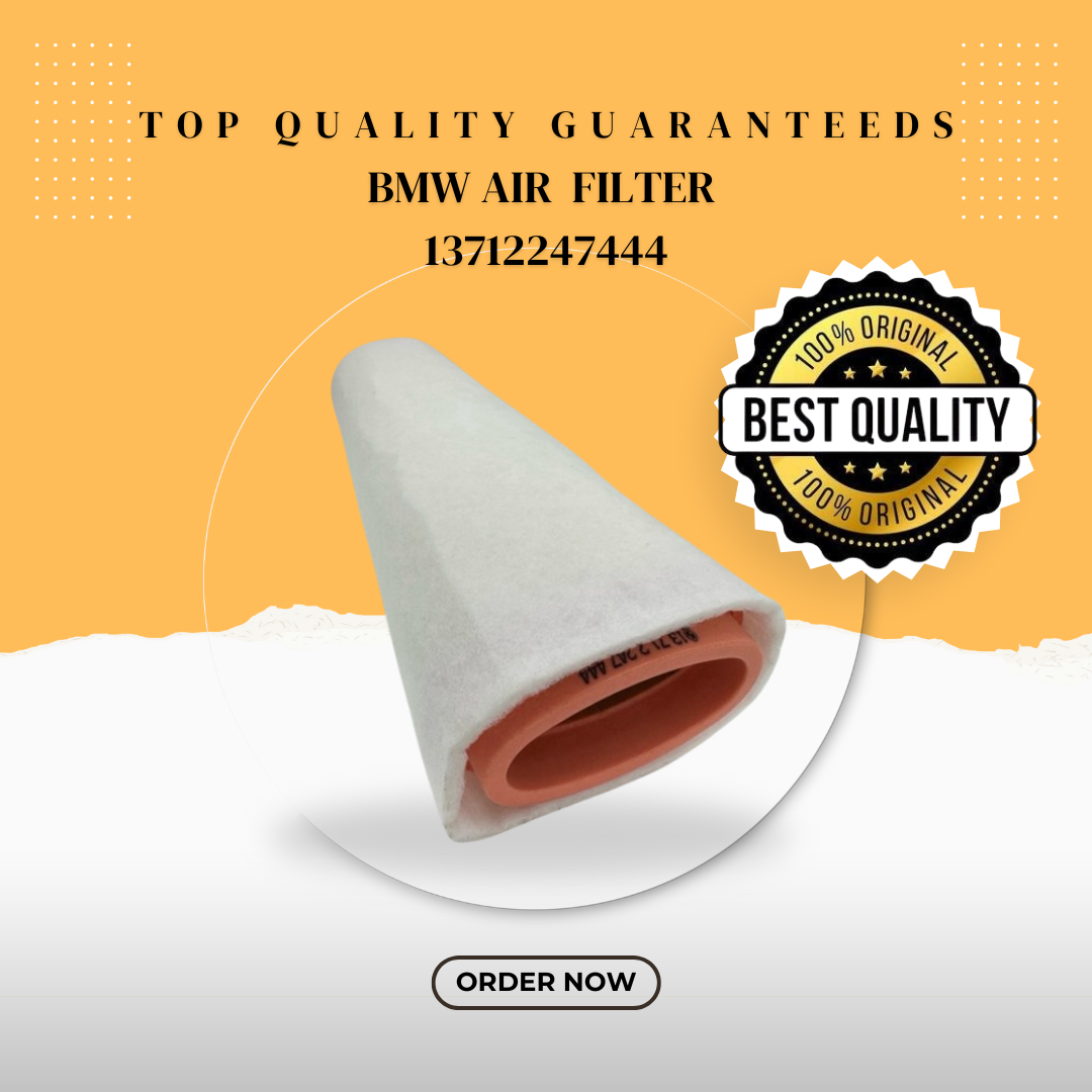 Genuine BMW Air Filter – 13712247444 Compatible with 5 Series (E60), X5 ...
