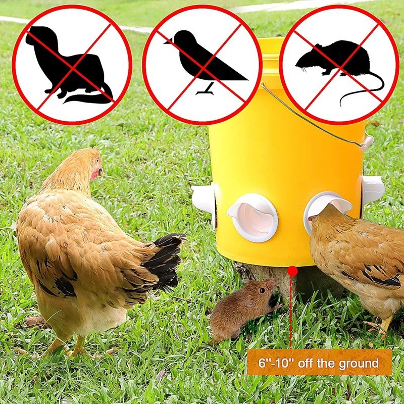Chicken Feeder Rain Proof Poultry Automatic Feeder No Waste | Shopee ...